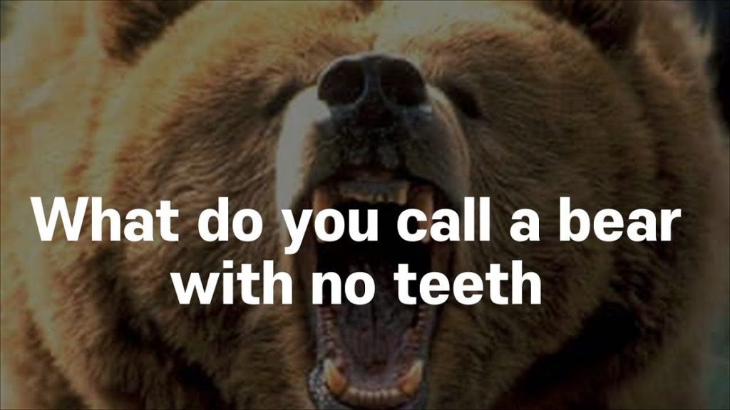 What Do You Call a Bear With No Teeth? Aside from their cute face